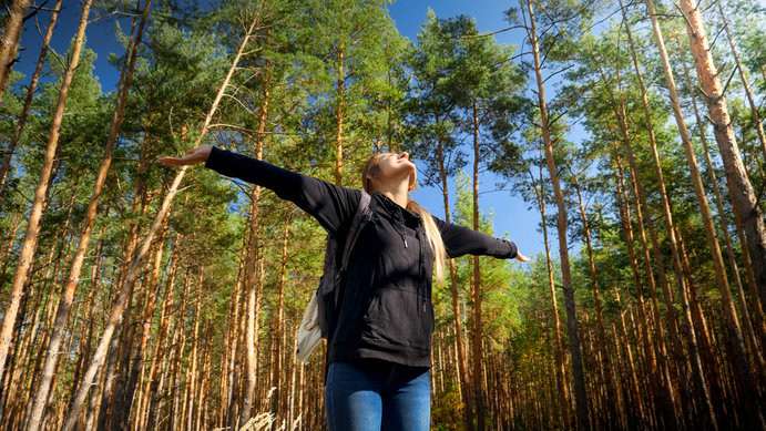 Waldbaden Dresden ☀️ Shinrin Yoku