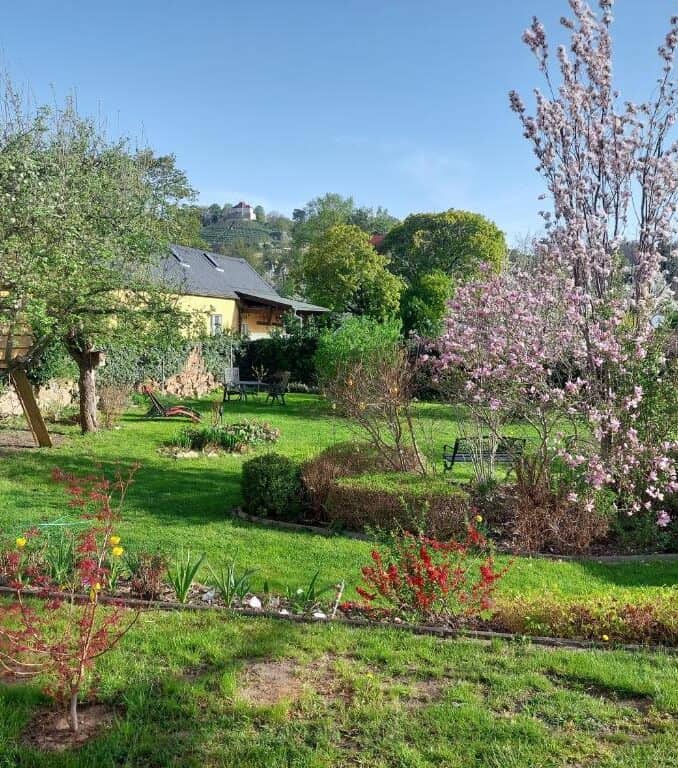 Weinfest Radebeul 2026 und die Villa Tini